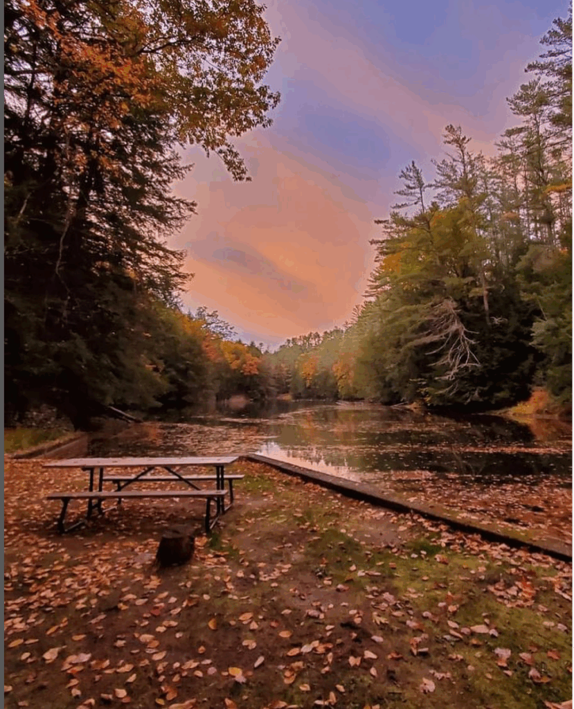 Tree Farm Campground - Welcome To Springfield Vermont